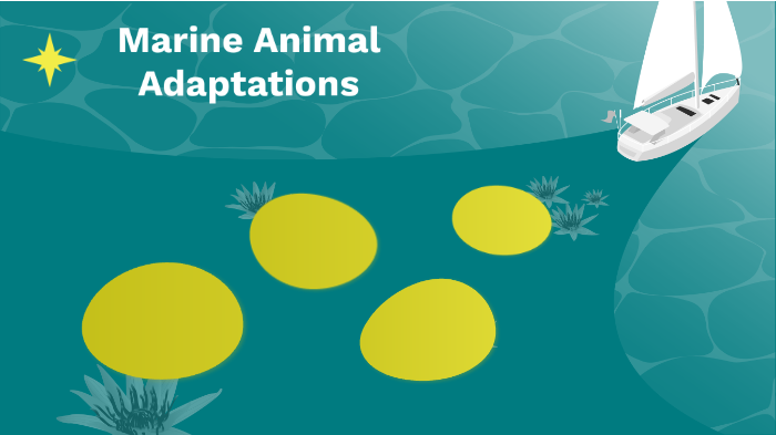 Marine Animal Adaptations by Melissa m on Prezi