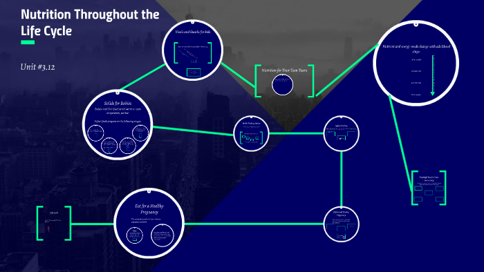Nutrition Throughout the Life Cycle by on Prezi