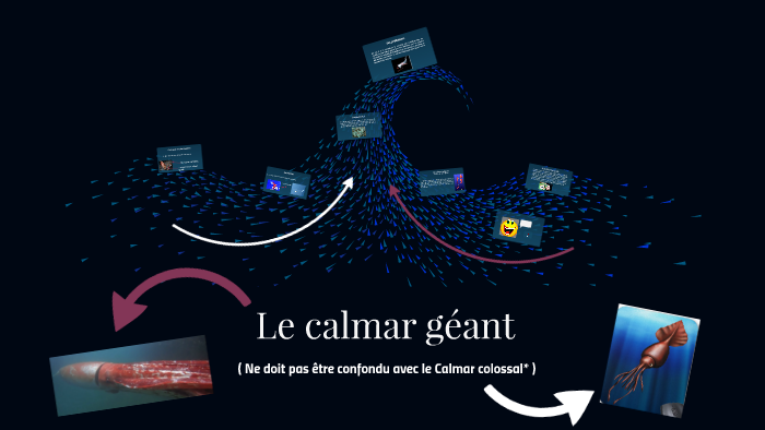Les Calmars Géants by Jean-Nicolas Boulais on Prezi