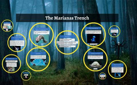 The Marianas Trench by Tony Abbiati on Prezi