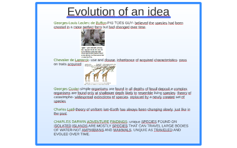 Chap 7 Bio Evolution Concept Map by Jameson Huynh on Prezi