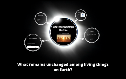 Evolution Project by The Main Editor Of Prezi on Prezi