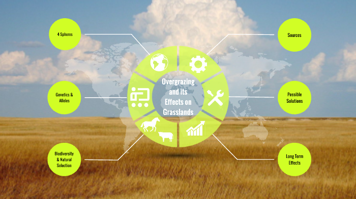 Overgrazing and Its Effects on Grasslands by Sydney Tatsumi on Prezi