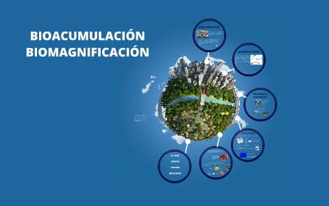 BIOACUMULACIÓN by Valeria Aristabal on Prezi