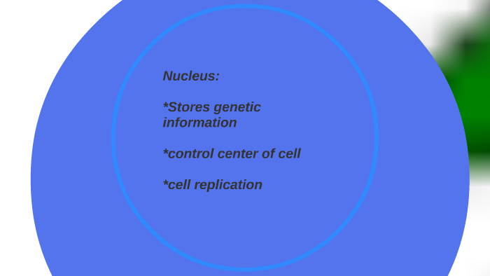 Jingle Cells! by Jarod Stackhouse