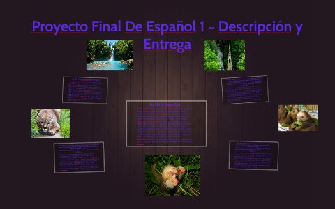 Proyecto Final De Español 1 ~ Descripción y Entrega by Monique Baboram ...