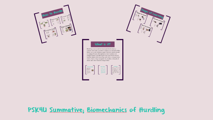 What is it? by Sarah St.Angelo on Prezi