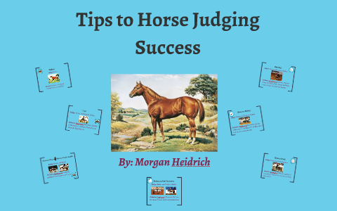 Tips to Horse Judging Succes by Morgan Heidrich