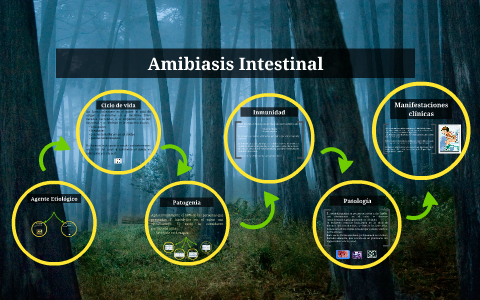 Amibiasis Intestinal by Maria Sanchez on Prezi