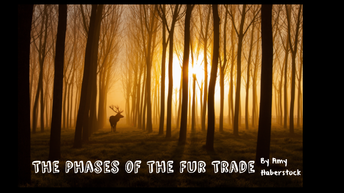 The phases of the fur trade by Amy Haberstock on Prezi