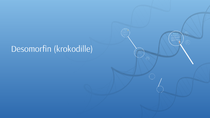 Desomorfin (krokodille) by Sarah Strøyer Pedersen on Prezi