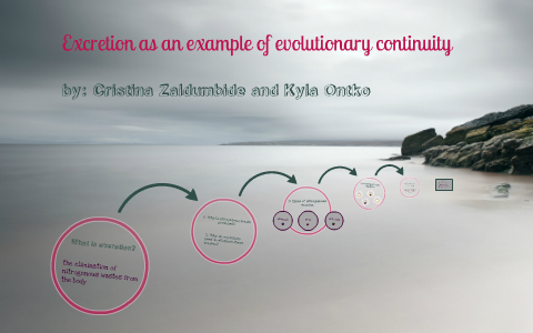 Excretion as an example of evolutionary continuity by K Ontko on Prezi