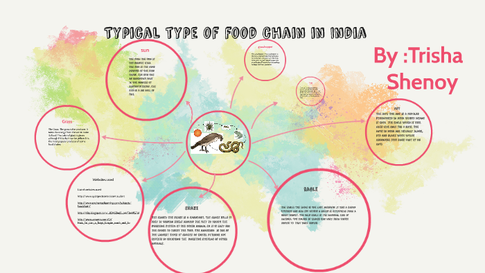 Typical type of food chain in India by lizelle van Wyk on Prezi