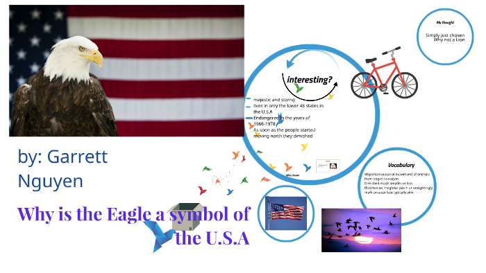 Why the Eagle is a symbol of America by Ms. Burnett on Prezi
