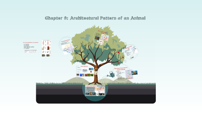 Evolution of Animal Body Plans by Peggy Wright on Prezi