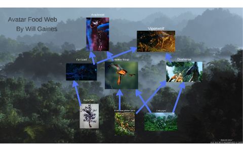 Avatar food web by Will Gaines on Prezi