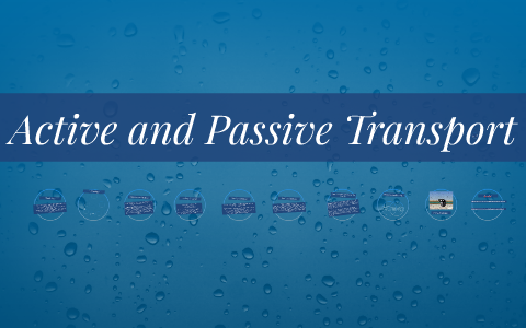 Active and Passive Transport by Jamie Liu on Prezi
