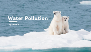 Water pollution PSA by LAURA WYLIE on Prezi Design