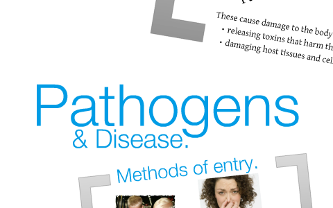 A biology Bryanscape by bryan mwangi