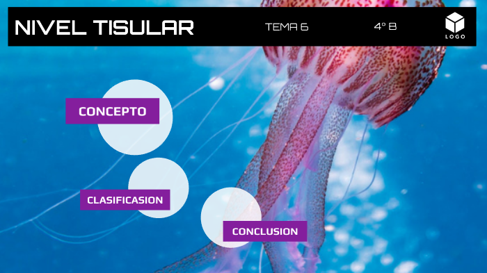 NIVEL TISULAR by Müñöż Märî Lü on Prezi