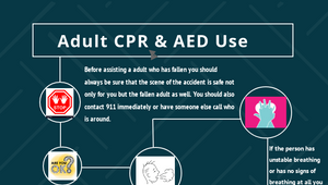 Adult CPR & AED Flow Chart by Taylor Robertson on Prezi Design