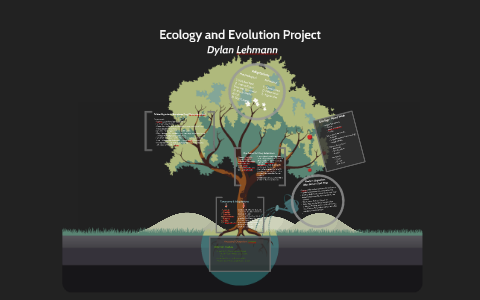 Dylan Lehmann EEP Presentation by Dylan Lehmann on Prezi