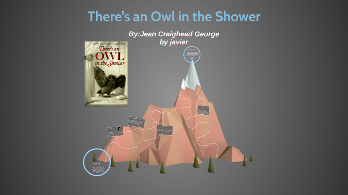There's an Owl in the Shower by javier mendez