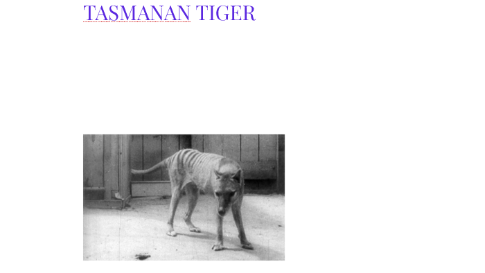 hi my name by jessalyn fowler on Prezi