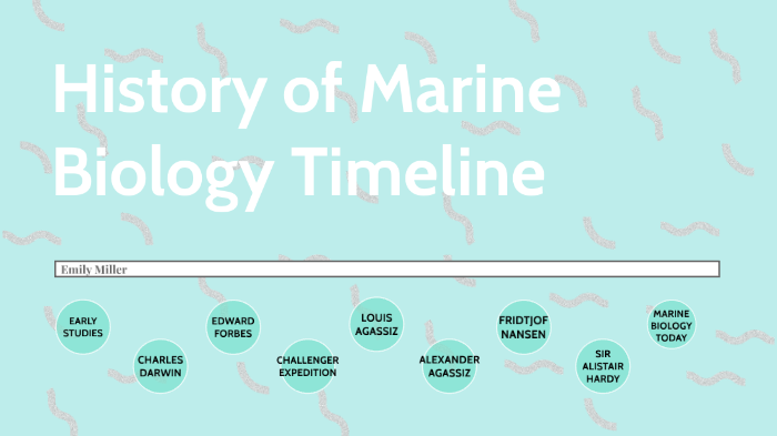 History of Marine Timeline by Emily Miller on Prezi