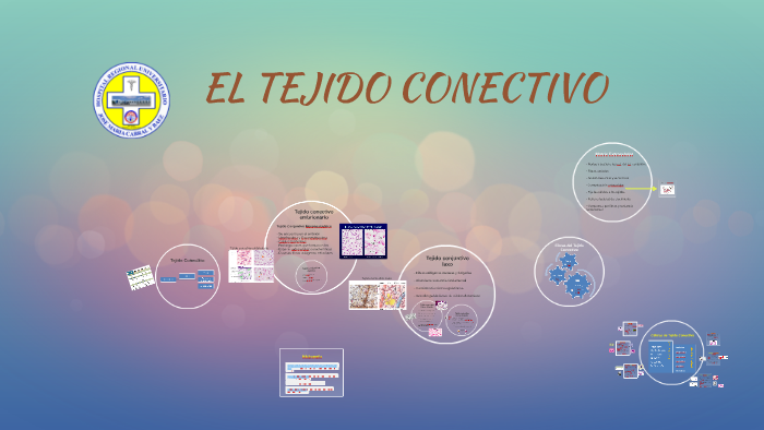 EL TEJIDO CONECTIVO by Geovanna Vargas on Prezi EL TEJIDO CONECTIVO by Geovanna Vargas on Prezi