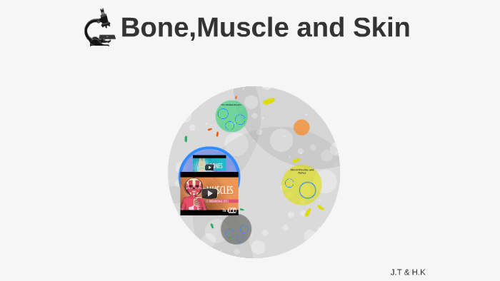 Bone,Muscle and Skin by jasmyne terrell on Prezi