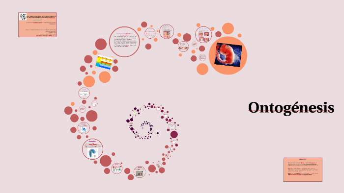 Ontogénesis del sistema nervioso by Daniela Colón on Prezi