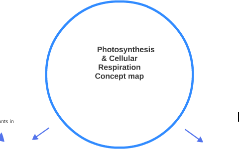 Photosynthesis & Cellular Respiration Concept map by Abigail Hersh on ...