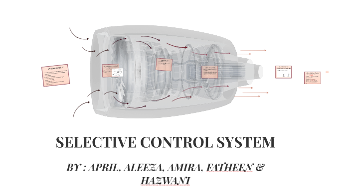 SELECTIVE CONTROL SYSTEM by noraprilenna jun on Prezi