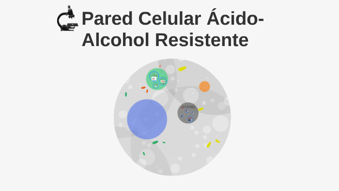 Pared Celular Ácido-Alcohol Resistente by Morgan Miller on Prezi