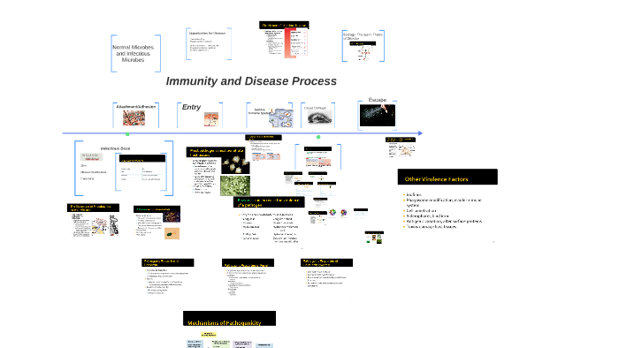 Disease Process by Julie Harless