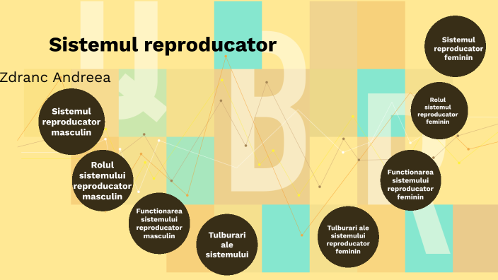 Sistemul reproducator by andra stan on Prezi