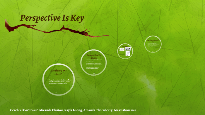 Perception Is Key by amanda ... on Prezi