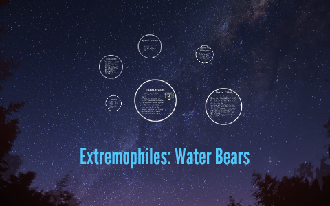 Extremophiles: Water Bears by Marissa Kurtock on Prezi