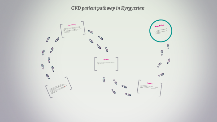 CVD patient pathway by A S on Prezi