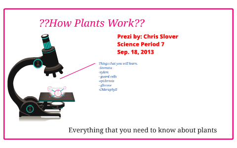 ??How Plants Work?? by Chris Slover