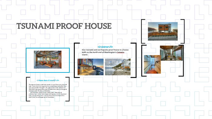 TSUNAMI PROOF HOUSE by Joy Gibson