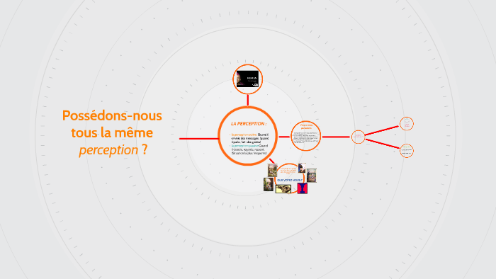 Les différentes perceptions d'une même réalité. by Lina Zouareg on Prezi