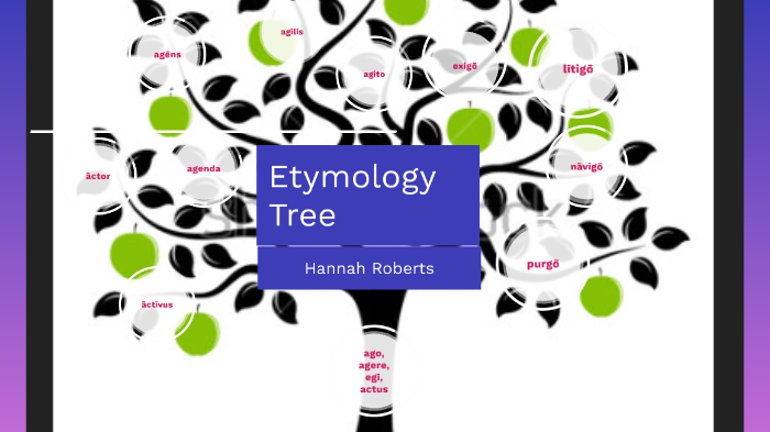 Etymology Tree by Hannah Roberts on Prezi