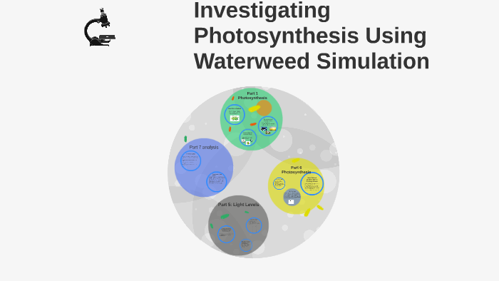 Photosynthesis Simulation Project by on Prezi