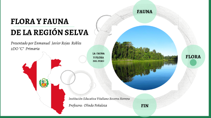 FLORA Y FAUNA DE LA REGIÓN SELVA by Angie Aguilar on Prezi