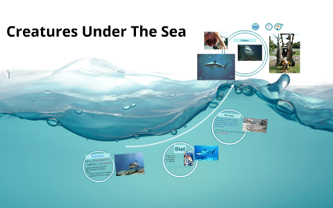 Creatures Under The Sea by Jodi Callahan on Prezi