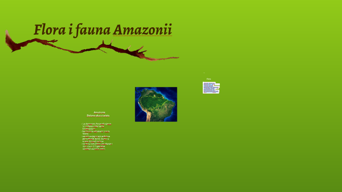 Flora i fauna Amazonii by Patrycja J on Prezi