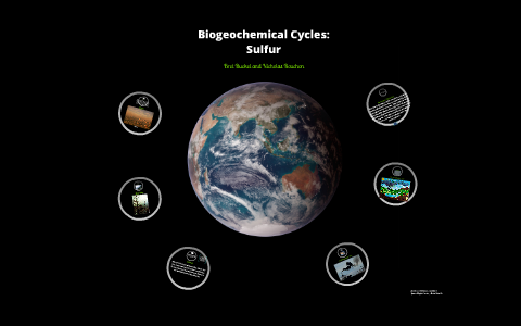 Biogeochemical Sulfur Cycle by Bret Buckel on Prezi