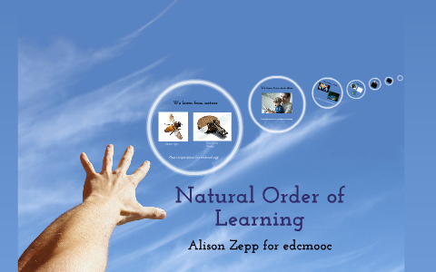 Natural Order of Learning by Alison Zepp on Prezi